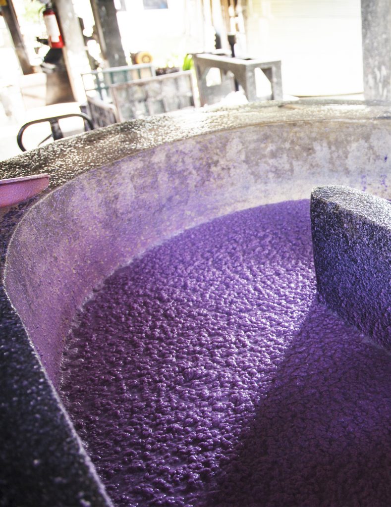 PAPER COLLECTION & PROCESSING – Eco Maximus