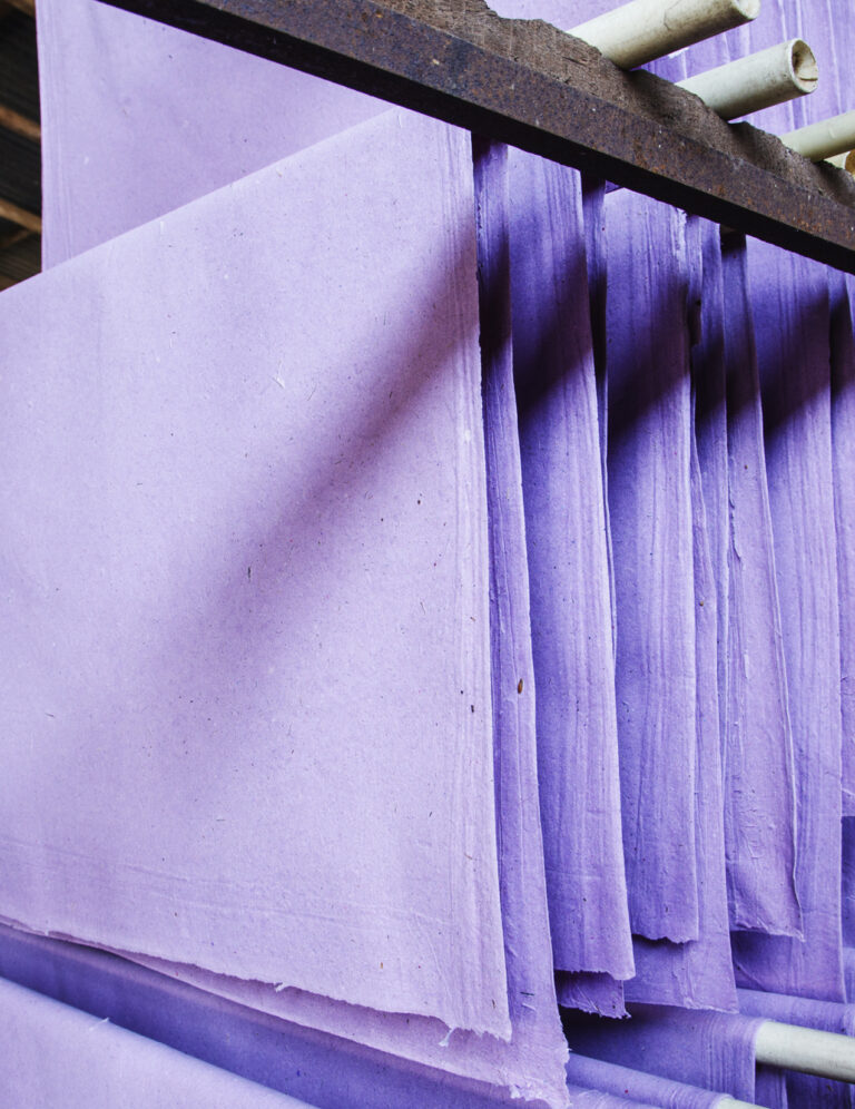 PAPER COLLECTION & PROCESSING – Eco Maximus