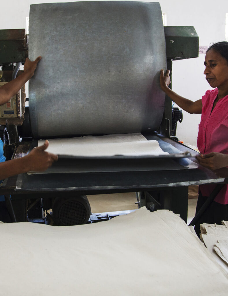 PAPER COLLECTION & PROCESSING – Eco Maximus