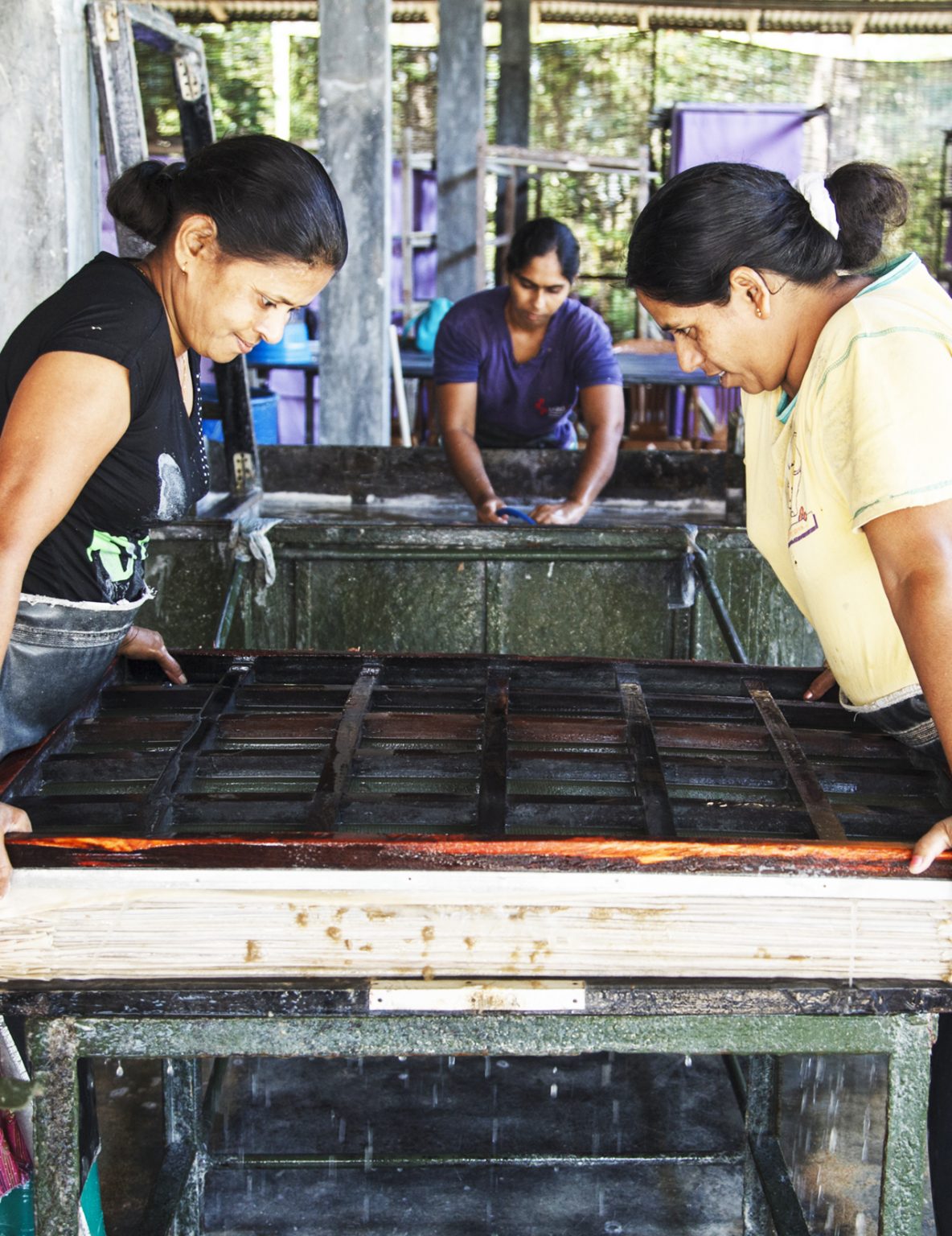 PAPER COLLECTION & PROCESSING – Eco Maximus