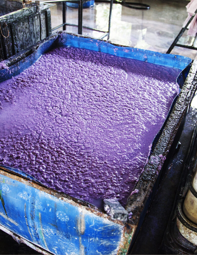 PAPER COLLECTION & PROCESSING – Eco Maximus