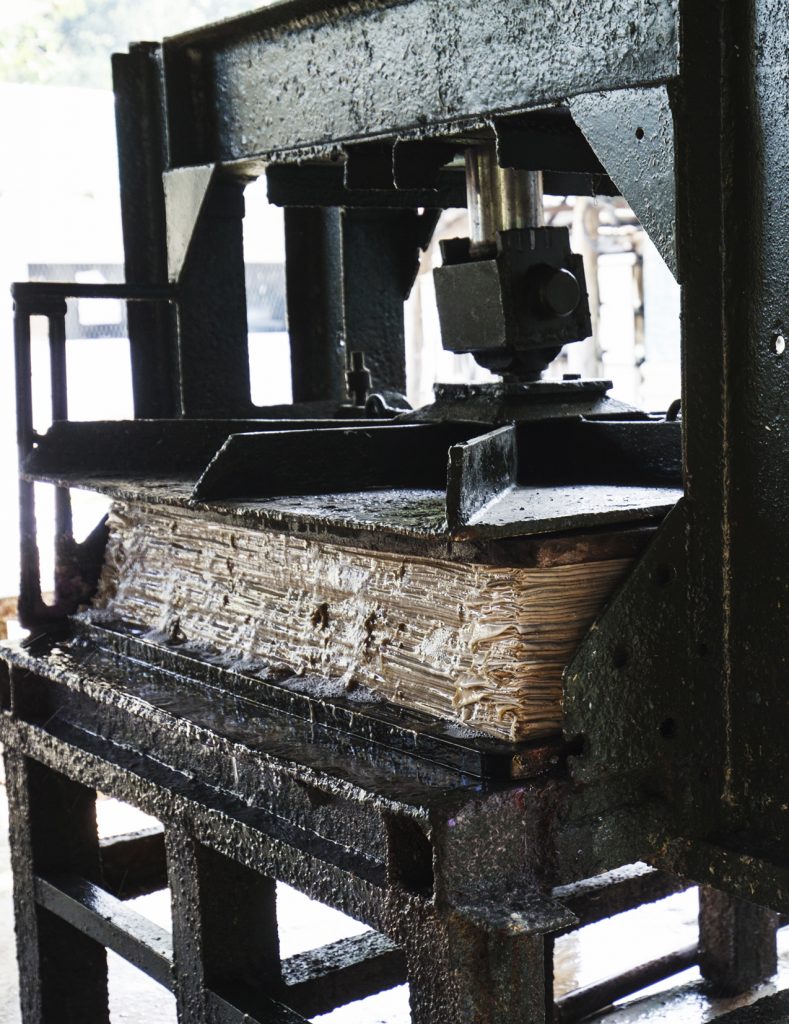 PAPER COLLECTION & PROCESSING – Eco Maximus