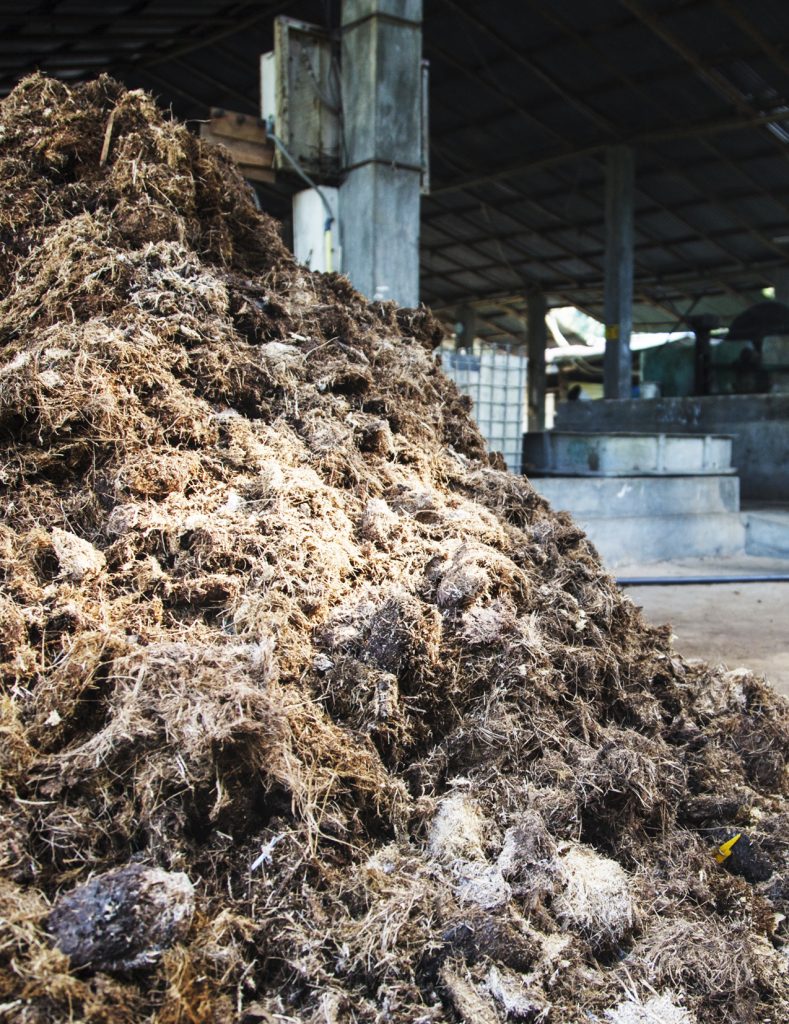 PAPER COLLECTION & PROCESSING – Eco Maximus