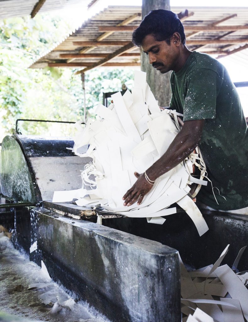 PAPER COLLECTION & PROCESSING – Eco Maximus